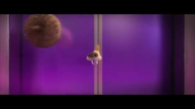 تریلر شماره 3 انیمیشن محبوب Ice Age 5: Collision Course - نماشا